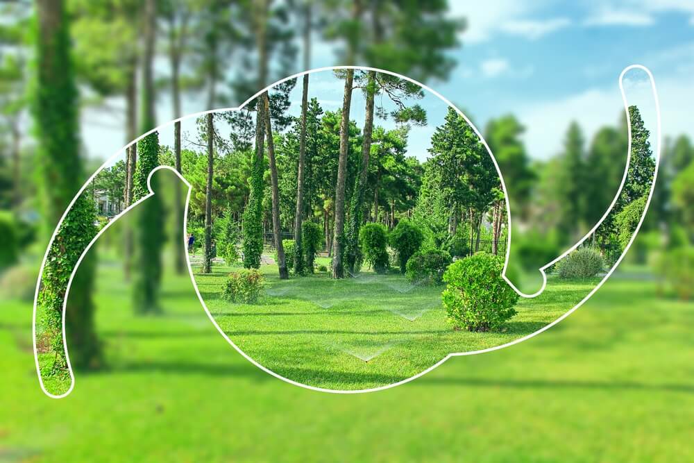 Multifocal Intraocular Lens Implants | Newcastle, WA | Coal Creek ...